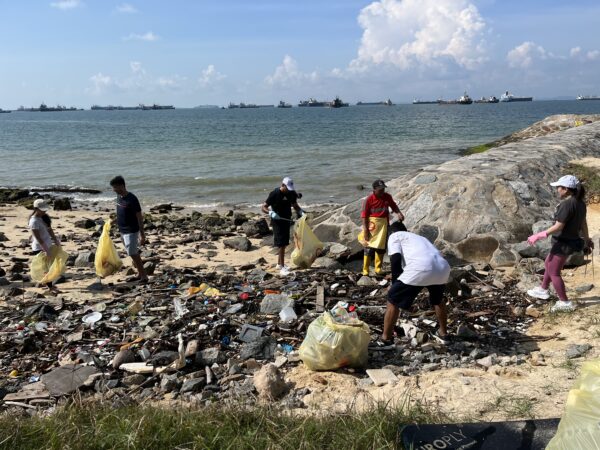Beach Clean Up: 6 Benefits and Stridy’s Programme (+How to Join)